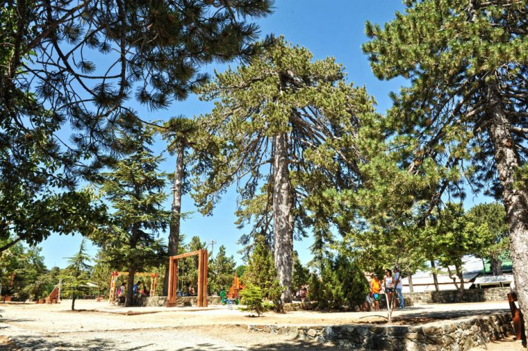 Troodos: An Ideal Destination for a Family Day Out - My Cyprus Travel ...