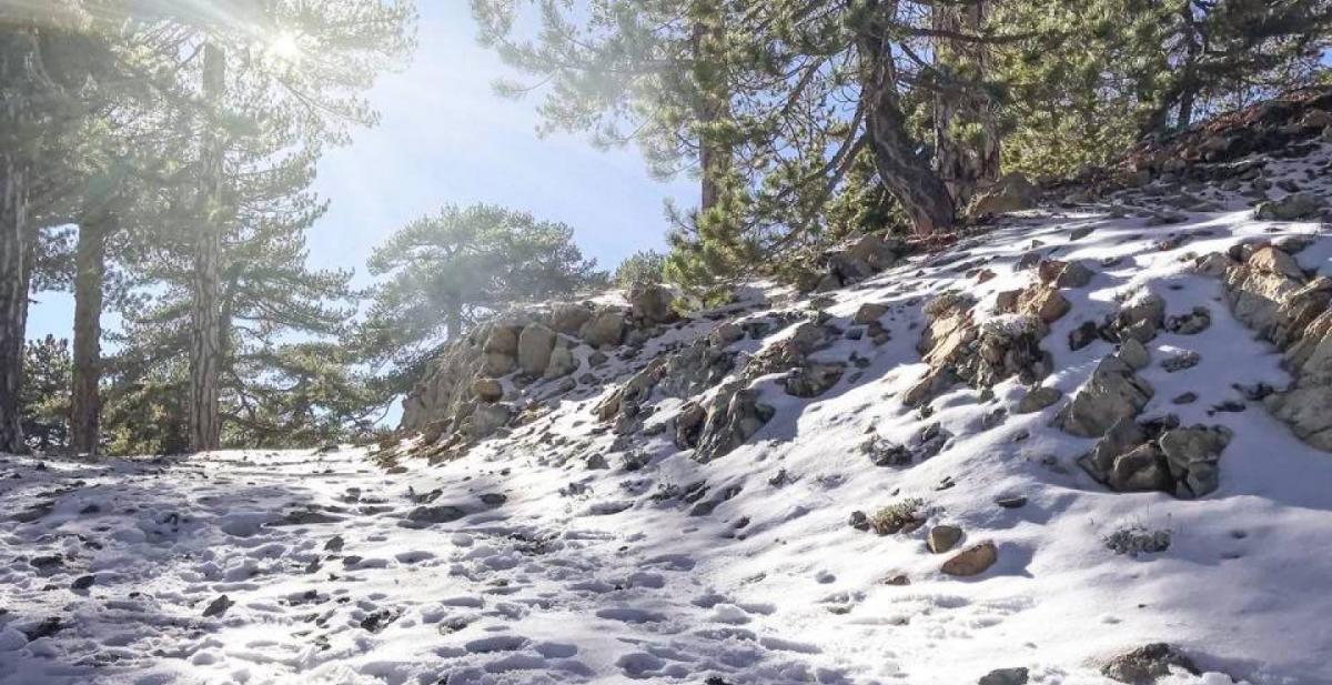 Great places to enjoy the wintery landscape in Troodos - My Cyprus ...