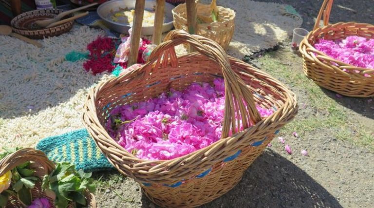 Head to these 9 Spring Festivals - My Cyprus Travel | Imagine. Explore ...