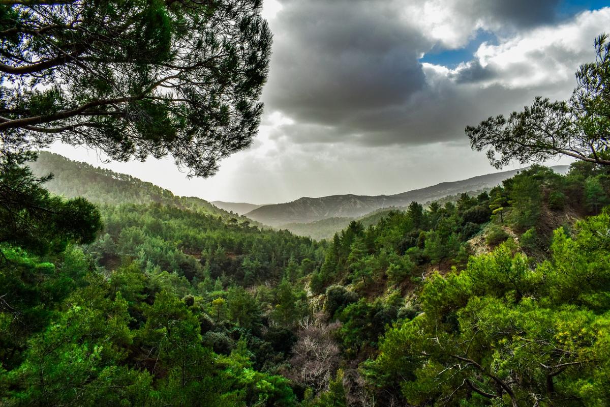 10 Road Trips in Cyprus for Spring - My Cyprus Travel | Imagine ...