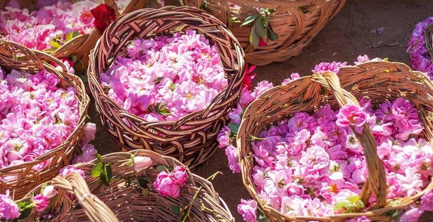 Don’t miss these 9 festivals this May - My Cyprus Travel | Imagine ...